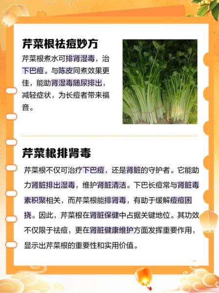 根芹菜怎么吃_根芹菜的营养价值-第2张图片-山城妙识