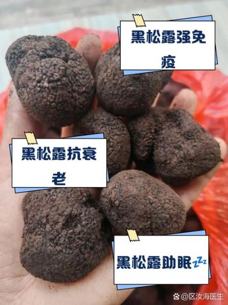 黑松露的功效与作用_黑松露怎么吃最好-第3张图片-山城妙识