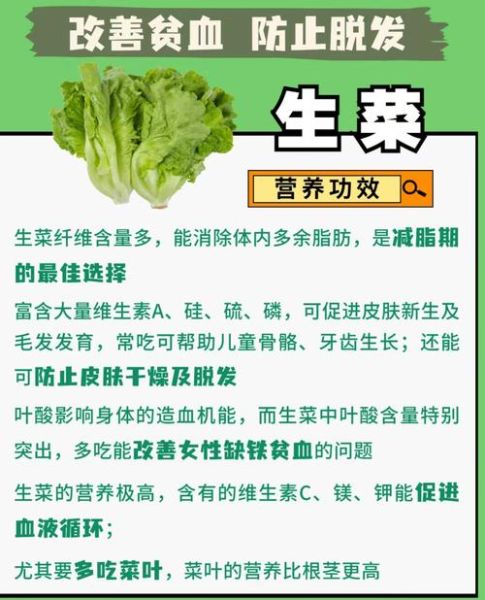 长期吃生菜有什么好处_生菜营养价值与功效-第1张图片-山城妙识 长期吃生菜有什么好处_生菜营养价值与功效-第1张图片-山城妙识