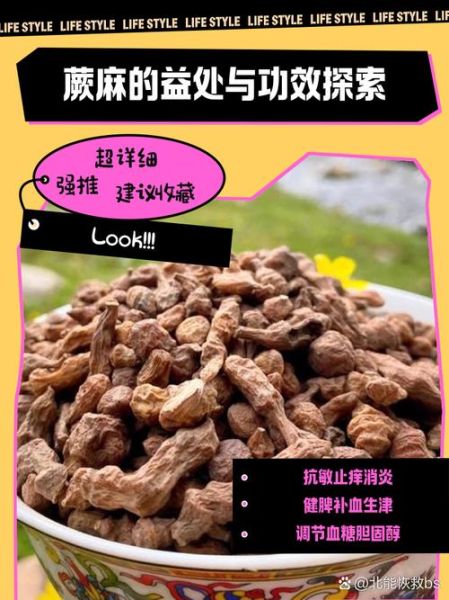 蕨麻怎么吃_蕨麻的吃法大全-第2张图片-山城妙识