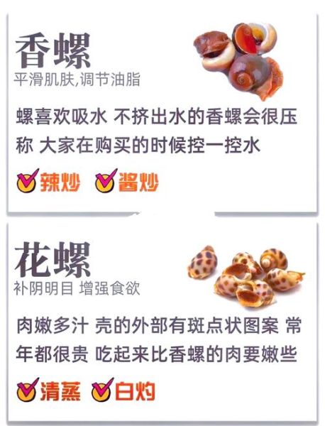 贝类怎么清洗_贝类做法大全-第1张图片-山城妙识 贝类怎么清洗_贝类做法大全-第1张图片-山城妙识