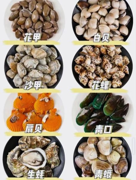贝类怎么清洗_贝类做法大全-第3张图片-山城妙识 贝类怎么清洗_贝类做法大全-第3张图片-山城妙识