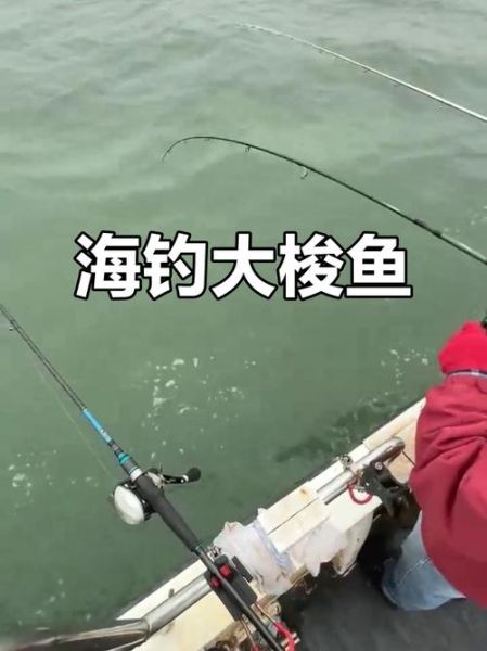 梭鱼钓法技巧_海钓新手怎么钓梭鱼-第1张图片-山城妙识 梭鱼钓法技巧_海钓新手怎么钓梭鱼-第1张图片-山城妙识