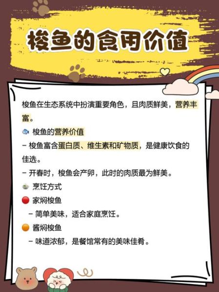梭鱼钓法技巧_海钓新手怎么钓梭鱼-第3张图片-山城妙识 梭鱼钓法技巧_海钓新手怎么钓梭鱼-第3张图片-山城妙识