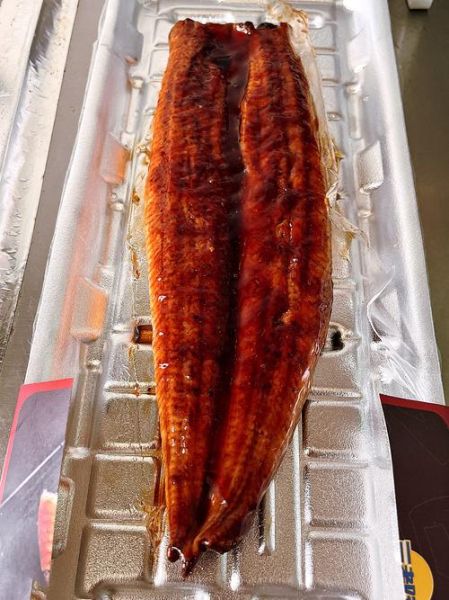 鳗鱼图片欣赏_如何挑选高清鳗鱼照片-第3张图片-山城妙识