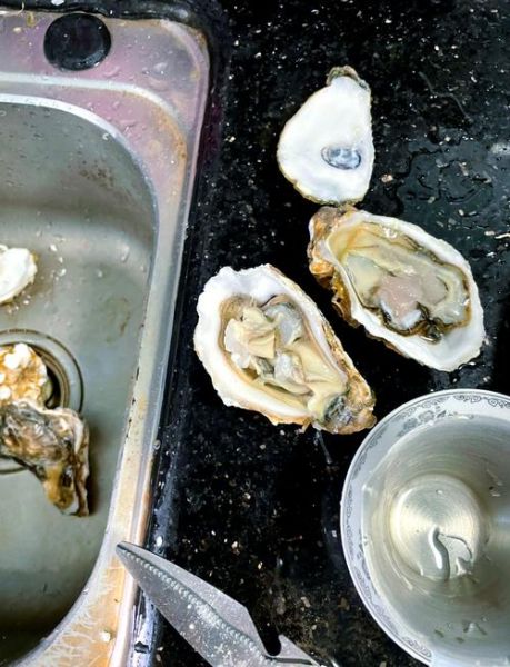 开生蚝壳最简单方法_没有开蚝刀怎么办-第2张图片-山城妙识