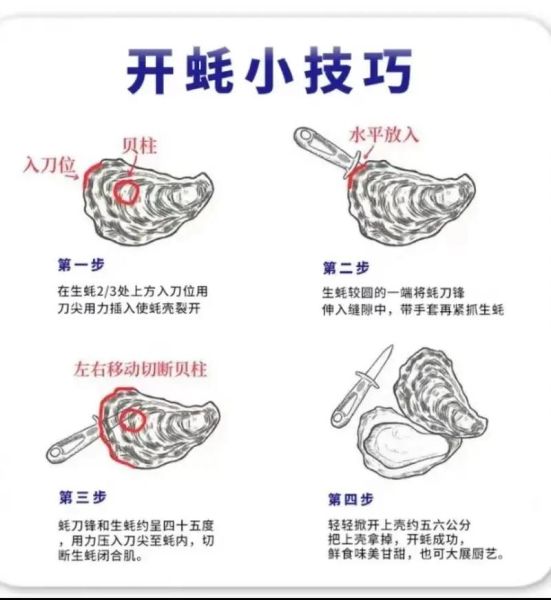 开生蚝壳最简单方法_没有开蚝刀怎么办-第1张图片-山城妙识