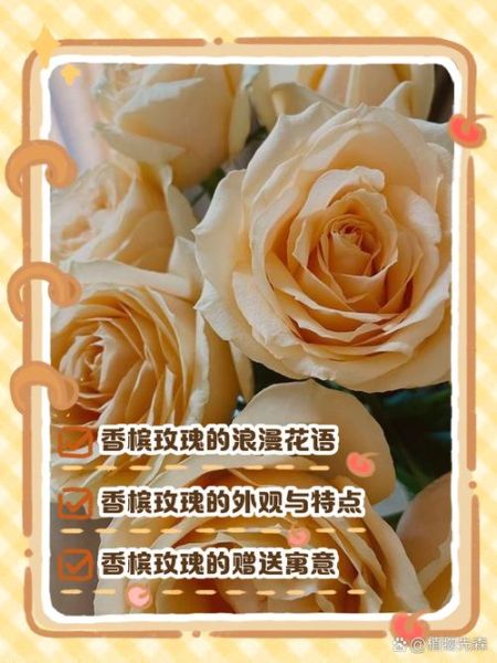 香槟玫瑰的花语是什么_送香槟玫瑰代表什么-第1张图片-山城妙识