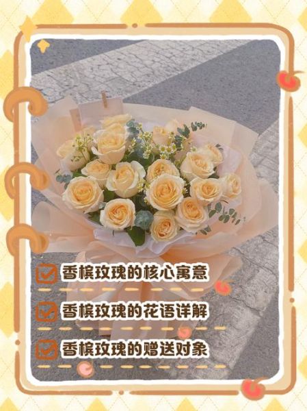 香槟玫瑰的花语是什么_送香槟玫瑰代表什么-第3张图片-山城妙识
