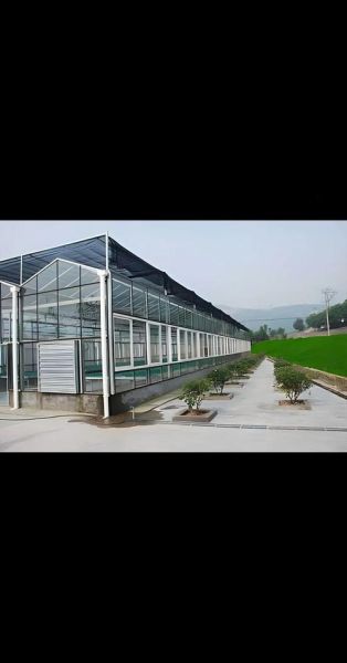 蔬菜大棚造价多少钱一平方_蔬菜大棚造价明细表-第2张图片-山城妙识