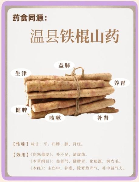 铁棍山药和普通山药有什么区别_哪个营养价值更高-第2张图片-山城妙识