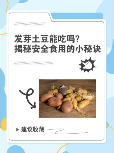 土豆刚发小芽还能吃吗_土豆发芽怎么处理-第1张图片-山城妙识 土豆刚发小芽还能吃吗_土豆发芽怎么处理-第1张图片-山城妙识