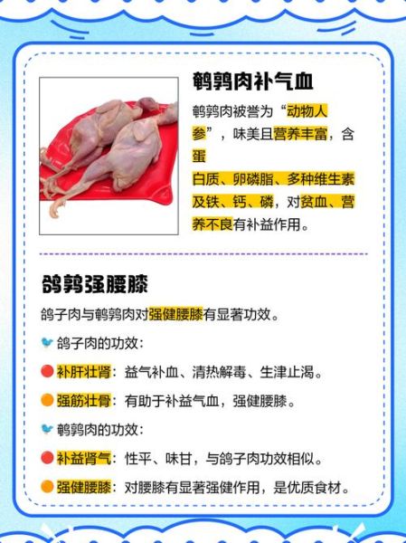 养鹌鹑血本无归_如何避免养鹌鹑亏本-第2张图片-山城妙识