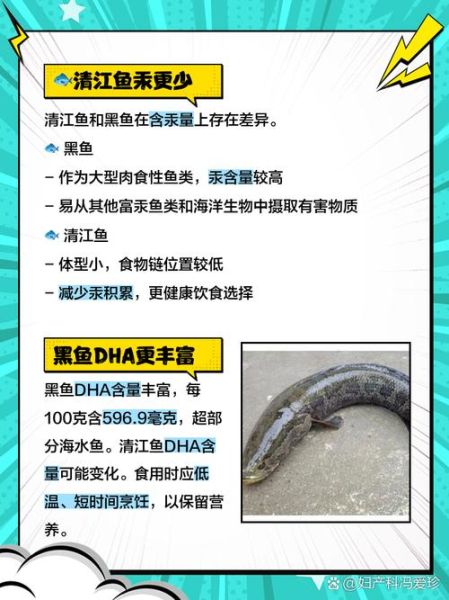 清江鱼和黑鱼哪个好吃_清江鱼与黑鱼口感区别-第1张图片-山城妙识