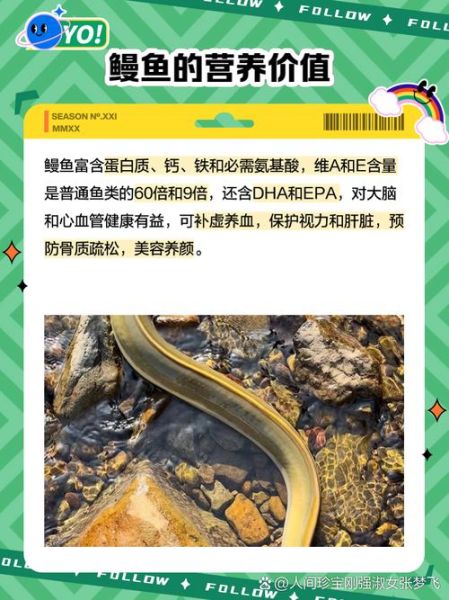 吃鳗鱼的好处和坏处_鳗鱼吃多了会上火吗-第2张图片-山城妙识 吃鳗鱼的好处和坏处_鳗鱼吃多了会上火吗-第2张图片-山城妙识