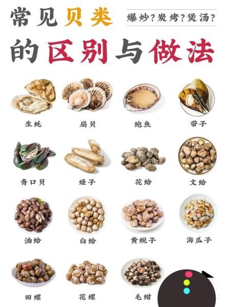 贝类海鲜怎么吃图解_贝类海鲜怎么吃才安全-第2张图片-山城妙识 贝类海鲜怎么吃图解_贝类海鲜怎么吃才安全-第2张图片-山城妙识