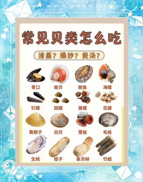 贝类海鲜怎么吃图解_贝类海鲜怎么吃才安全-第1张图片-山城妙识 贝类海鲜怎么吃图解_贝类海鲜怎么吃才安全-第1张图片-山城妙识