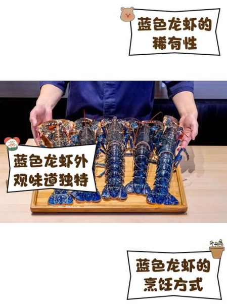 澳洲蓝龙虾多少钱一斤_澳洲蓝龙虾怎么做好吃-第1张图片-山城妙识