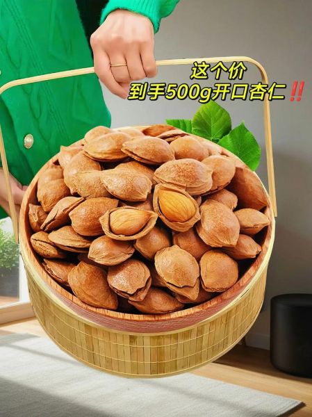 开口杏仁的功效与作用_开口杏仁的禁忌有哪些-第1张图片-山城妙识