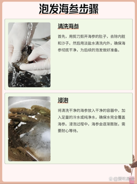 海参怎么泡发_海参泡发多长时间-第3张图片-山城妙识 海参怎么泡发_海参泡发多长时间-第3张图片-山城妙识