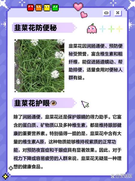 韭菜花吃多了有什么危害_韭菜花的副作用有哪些-第1张图片-山城妙识 韭菜花吃多了有什么危害_韭菜花的副作用有哪些-第1张图片-山城妙识