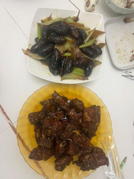 炒葱蚕蛹家常做法_蚕蛹怎么炒才香-第3张图片-山城妙识 炒葱蚕蛹家常做法_蚕蛹怎么炒才香-第3张图片-山城妙识