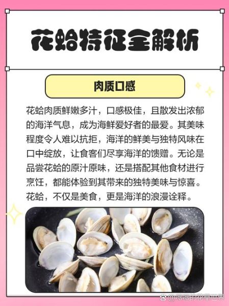 花蛤死了还能吃吗_如何判断花蛤是否变质-第1张图片-山城妙识 花蛤死了还能吃吗_如何判断花蛤是否变质-第1张图片-山城妙识
