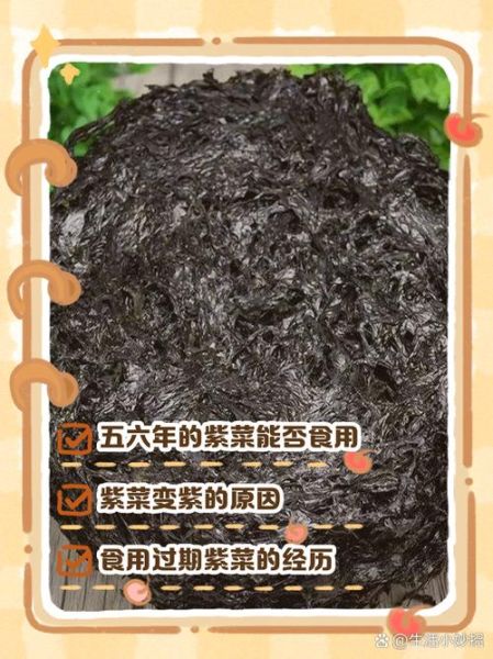 干紫菜需要泡吗_紫菜泡发多久-第1张图片-山城妙识