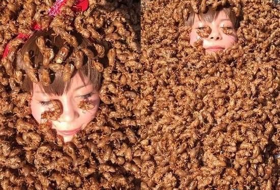 莲蓬乳是什么_莲蓬乳会传染吗-第2张图片-山城妙识 莲蓬乳是什么_莲蓬乳会传染吗-第2张图片-山城妙识