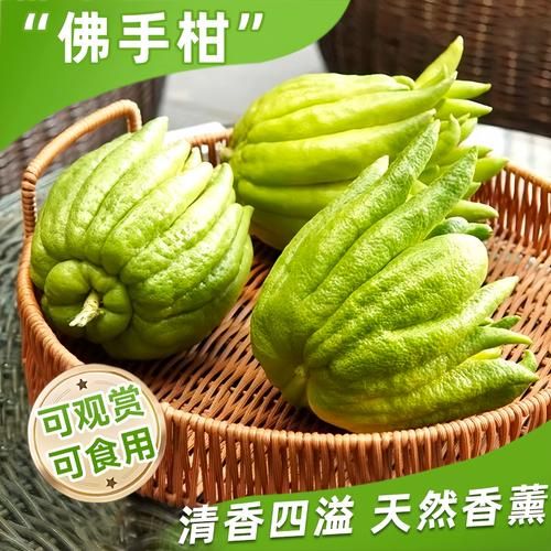 佛手柑和佛手瓜的区别_佛手果怎么吃法大全-第3张图片-山城妙识 佛手柑和佛手瓜的区别_佛手果怎么吃法大全-第3张图片-山城妙识