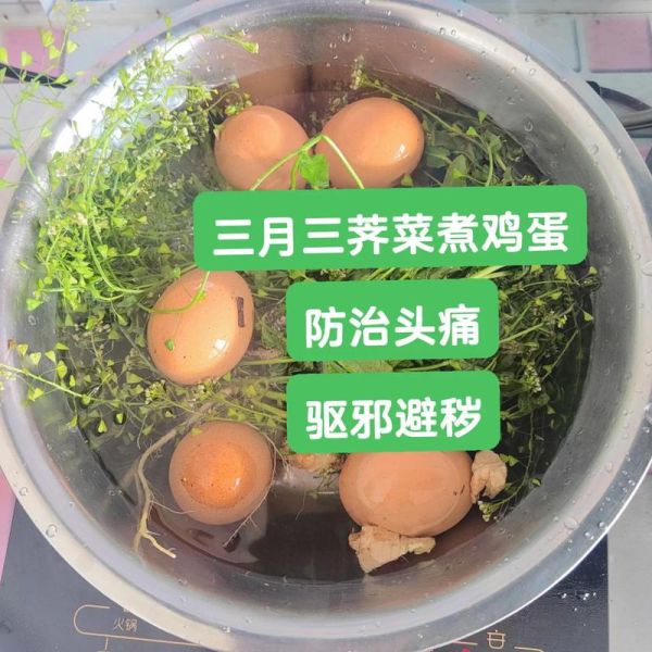 地菜煮鸡蛋的功效_三月三为什么要吃地菜蛋-第1张图片-山城妙识