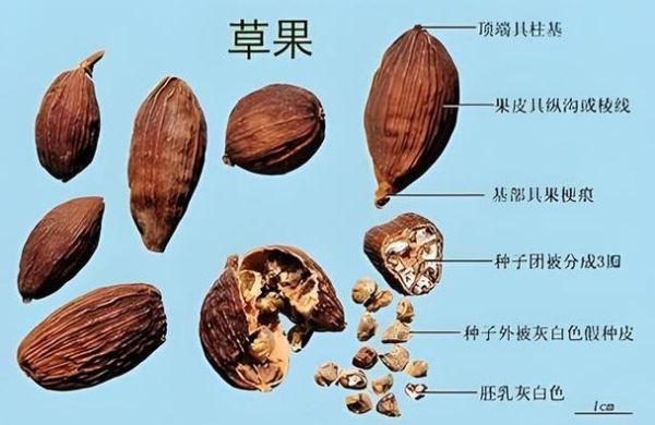 草寇是什么意思_草寇与山贼区别-第3张图片-山城妙识