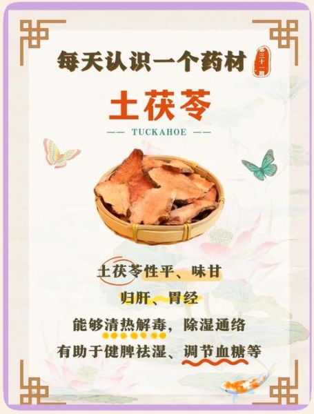 茯苓功效与作用是什么_茯苓怎么吃效果最好-第1张图片-山城妙识 茯苓功效与作用是什么_茯苓怎么吃效果最好-第1张图片-山城妙识