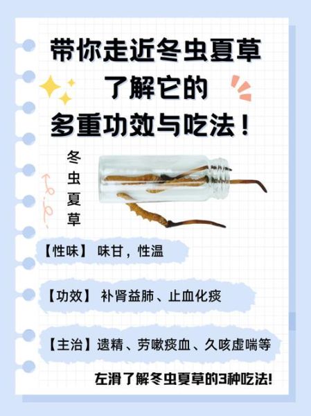 冬虫夏草有什么功效_怎么吃效果最好-第3张图片-山城妙识 冬虫夏草有什么功效_怎么吃效果最好-第3张图片-山城妙识
