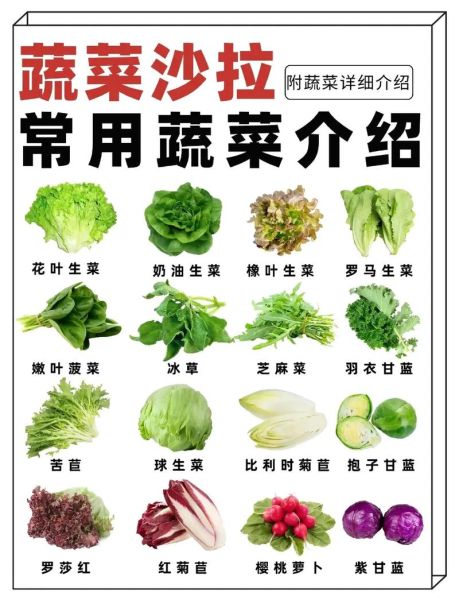 沙拉菜有几种蔬菜_常见沙拉蔬菜种类大全-第2张图片-山城妙识 沙拉菜有几种蔬菜_常见沙拉蔬菜种类大全-第2张图片-山城妙识