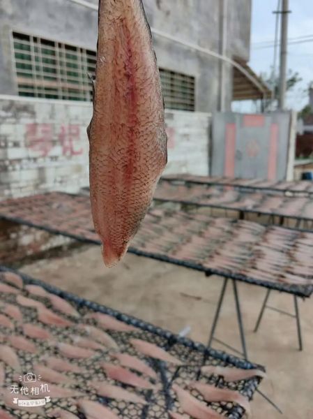 龙利鱼多少钱一斤_龙利鱼图片怎么挑-第3张图片-山城妙识 龙利鱼多少钱一斤_龙利鱼图片怎么挑-第3张图片-山城妙识