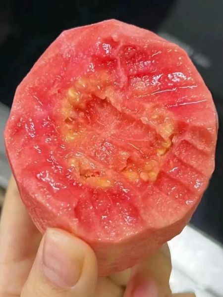 草莓番石榴图片_如何挑选成熟果实-第2张图片-山城妙识