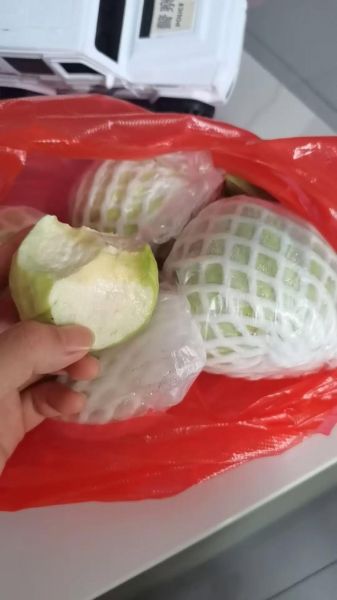 草莓番石榴图片_如何挑选成熟果实-第3张图片-山城妙识