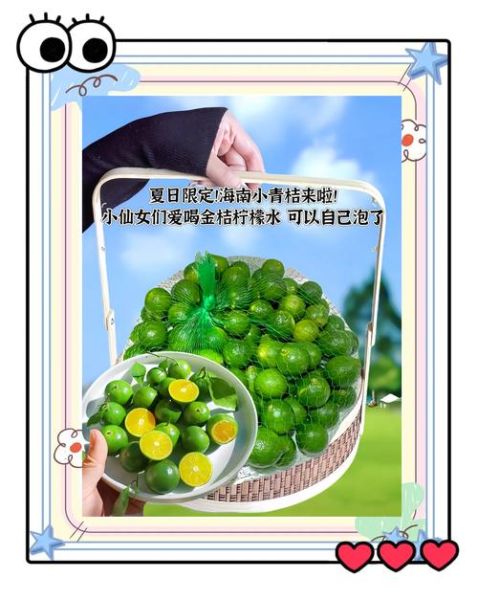 青桔的功效与作用_青桔的禁忌有哪些-第2张图片-山城妙识 青桔的功效与作用_青桔的禁忌有哪些-第2张图片-山城妙识