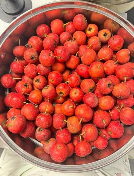 山楂罐头蒸多久最佳_蒸山楂罐头多长时间最好-第3张图片-山城妙识 山楂罐头蒸多久最佳_蒸山楂罐头多长时间最好-第3张图片-山城妙识