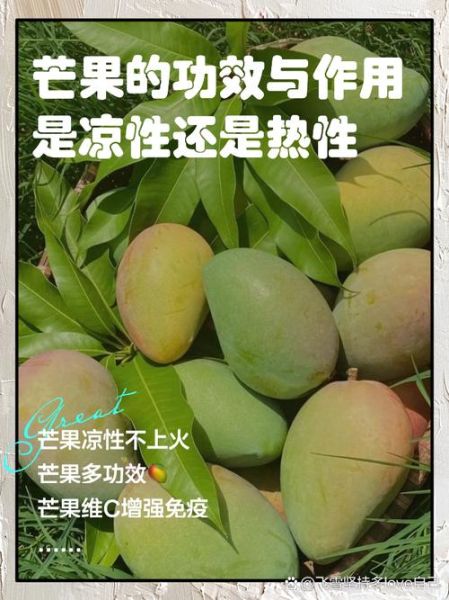 芒果的功效与作用_芒果的营养价值高吗-第2张图片-山城妙识