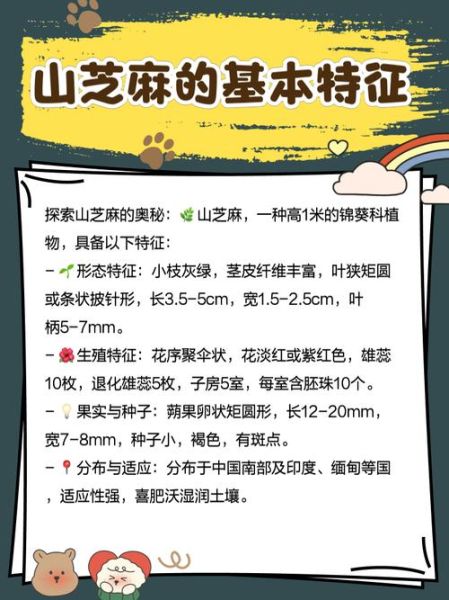 山芝麻的功效与作用_山芝麻怎么吃效果最好-第1张图片-山城妙识 山芝麻的功效与作用_山芝麻怎么吃效果最好-第1张图片-山城妙识