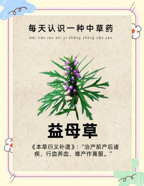 益母草的功效与作用_益母草的禁忌症有哪些-第2张图片-山城妙识 益母草的功效与作用_益母草的禁忌症有哪些-第2张图片-山城妙识