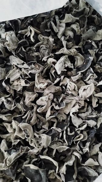 黑木耳要摩擦多久_黑木耳变黑原因-第2张图片-山城妙识