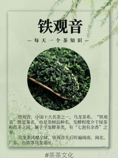 铁观音属于什么茶_铁观音是红茶吗-第1张图片-山城妙识 铁观音属于什么茶_铁观音是红茶吗-第1张图片-山城妙识