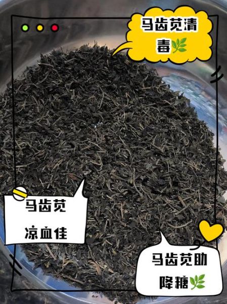 马苋菜的功效与作用_马苋菜的副作用有哪些-第1张图片-山城妙识 马苋菜的功效与作用_马苋菜的副作用有哪些-第1张图片-山城妙识