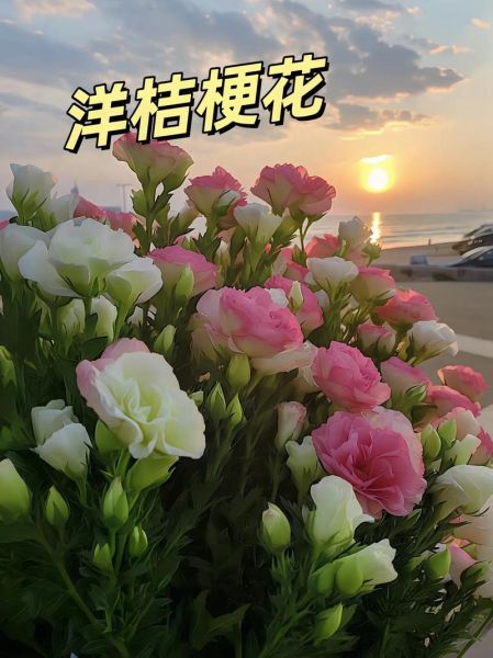 洋桔梗花图片怎么拍好看_洋桔梗花语是什么-第1张图片-山城妙识 洋桔梗花图片怎么拍好看_洋桔梗花语是什么-第1张图片-山城妙识