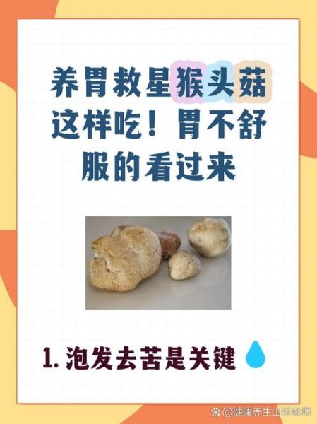 鲜猴头菇怎么吃_鲜猴头菇食用禁忌-第3张图片-山城妙识 鲜猴头菇怎么吃_鲜猴头菇食用禁忌-第3张图片-山城妙识