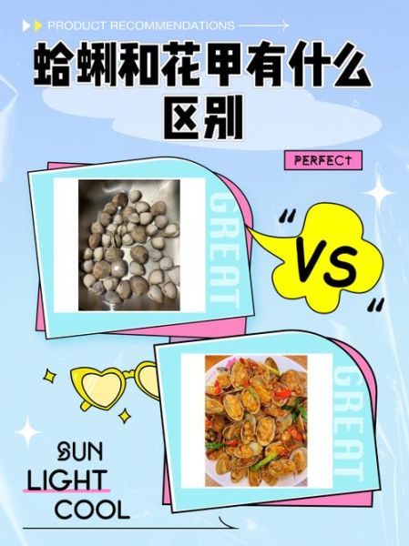 花蛤和花甲一样吗_区别与选购指南-第1张图片-山城妙识 花蛤和花甲一样吗_区别与选购指南-第1张图片-山城妙识
