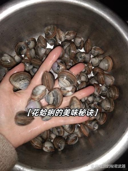 花蛤和花甲一样吗_区别与选购指南-第3张图片-山城妙识 花蛤和花甲一样吗_区别与选购指南-第3张图片-山城妙识